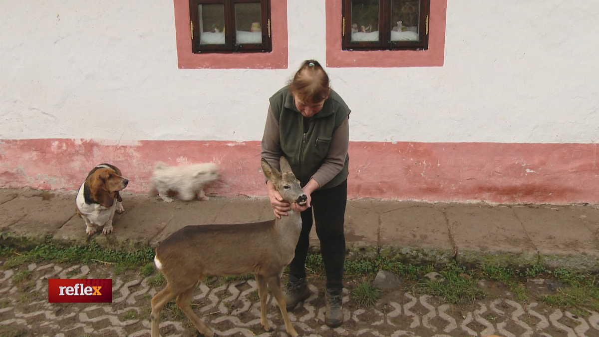 Babkin statok | TV Markíza