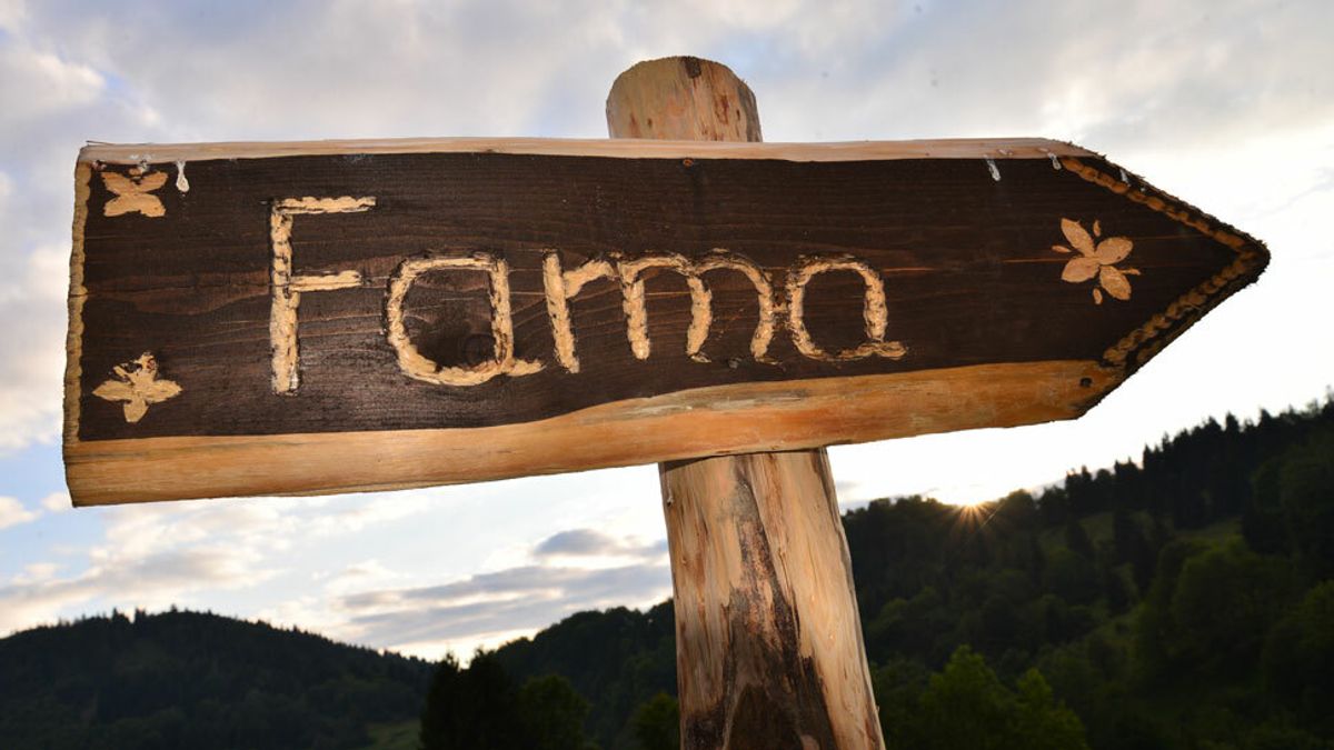 Farma 13 je tu: Prvé informácie o novej sérii drsnej reality šou! | TV ...