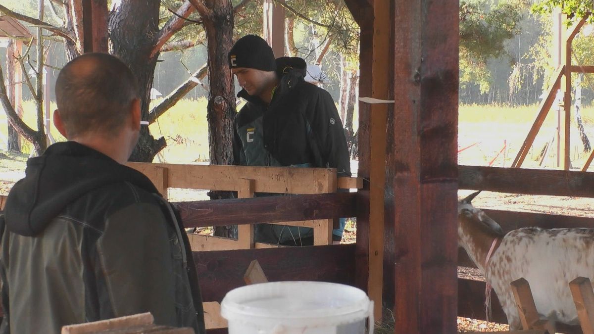 Farma 12 ukážka - Prečo vyhynuli dinosary? | TV Markíza