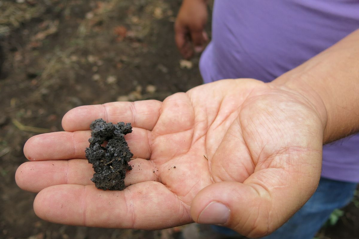 V Taliansku „pršali“ z neba čierne kamene | TV Markíza