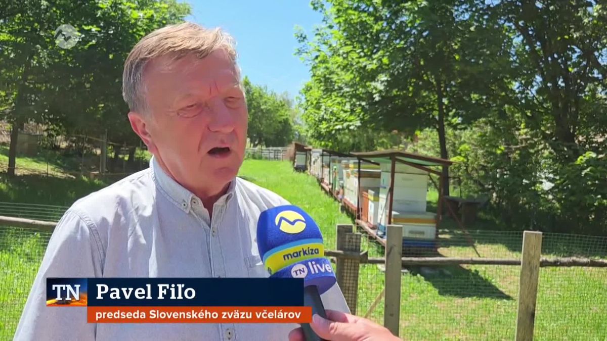 Včely prehrávajú boj s počasím | TV Markíza
