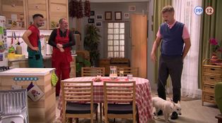 Susedia | Celé epizódy | TV Markíza