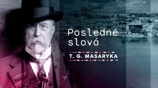 TN live | | TV Markíza